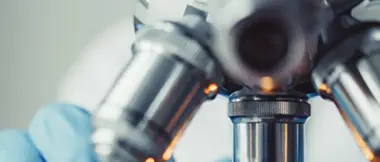 IMU Centre for Lifelong Learning - ICL